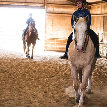 Horse Boarding in Rockwall, Texas | Meadow Lane Equestrian